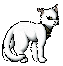 Pixie | Nederlandse Warrior Cats wiki | Fandom