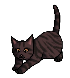 Moskit (NP) | Nederlandse Warrior Cats wiki | Fandom