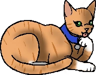 Violet | Nederlandse Warrior Cats wiki | Fandom