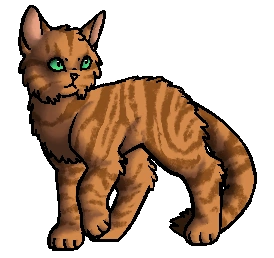 Krekel | Nederlandse Warrior Cats wiki | Fandom