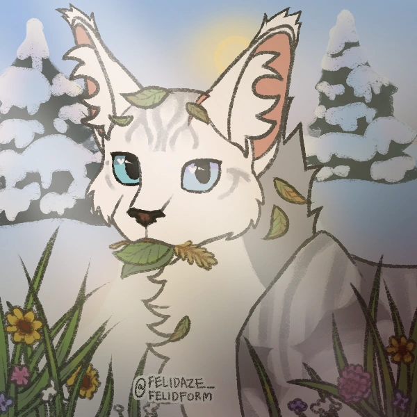 Dawnmorning | Warrior Cats OC and Clans Wiki | Fandom