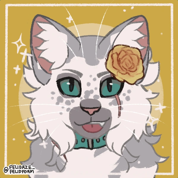 Pebble | Warrior Cats OC Wiki | Fandom