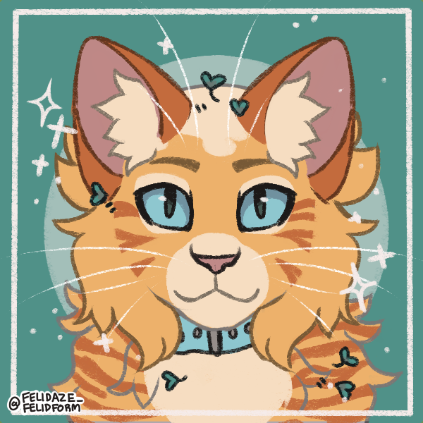 Pumpkin | Warrior Cats OC Wiki | Fandom