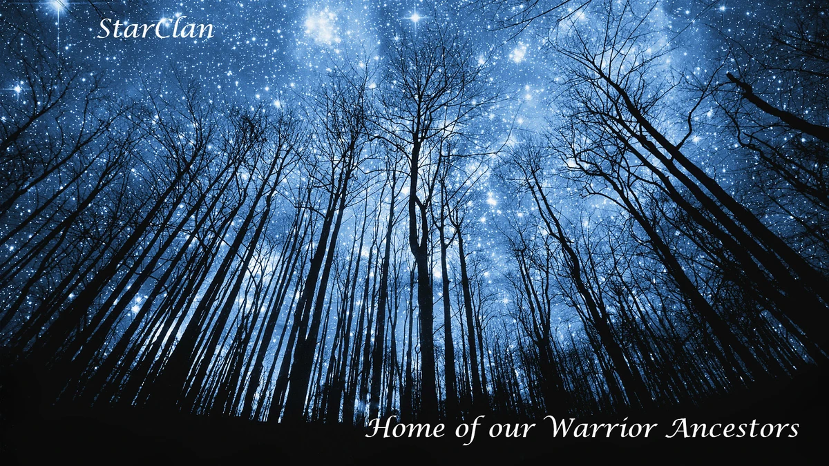 StarClan | Warrior Cats of the Wild Roleplay Wiki | Fandom