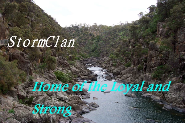 StormClan | Warrior Cats of the Wild Roleplay Wiki | Fandom