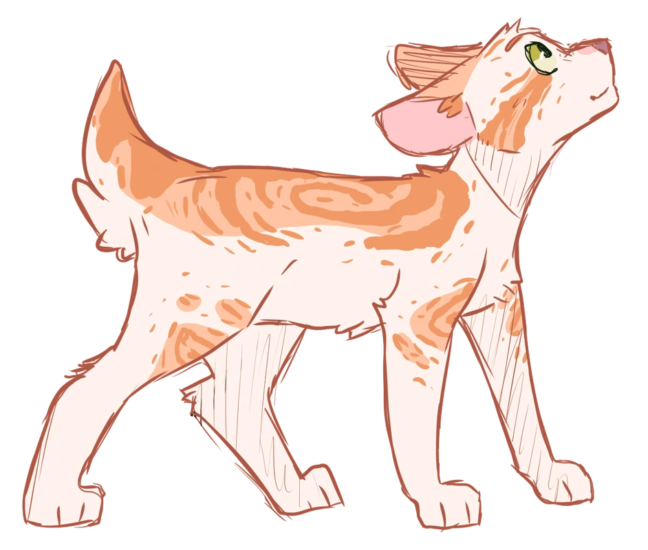 Peachpaw | Warrior Cats Online Characters Wiki | Fandom