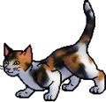 Cherrypaw | Warrior Cats Original Character Wiki | Fandom