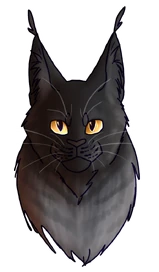 Wolfstar | Warrior Cats RPG Wiki | Fandom