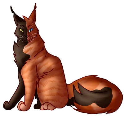 Sunkit | Warrior Cats RPG Wiki | Fandom