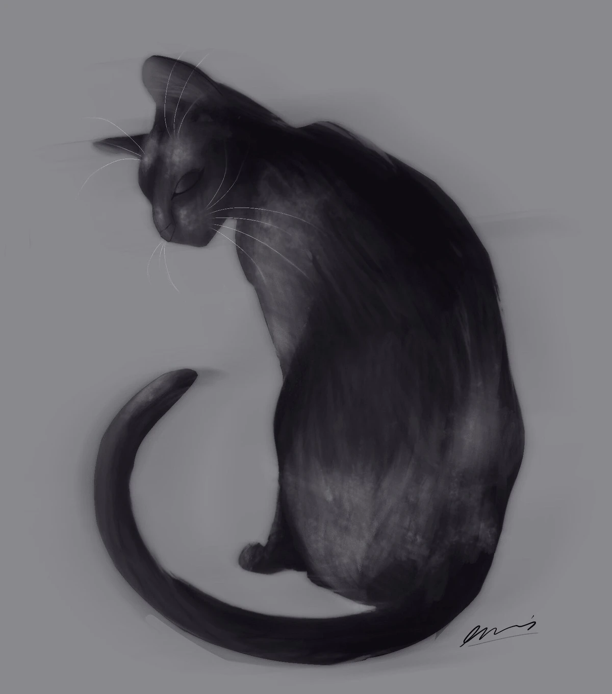 Pebblepelt | Warrior Cats RPG Wiki | Fandom