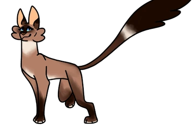 Breezechaser Warrior Cats Rpg Wiki Fandom