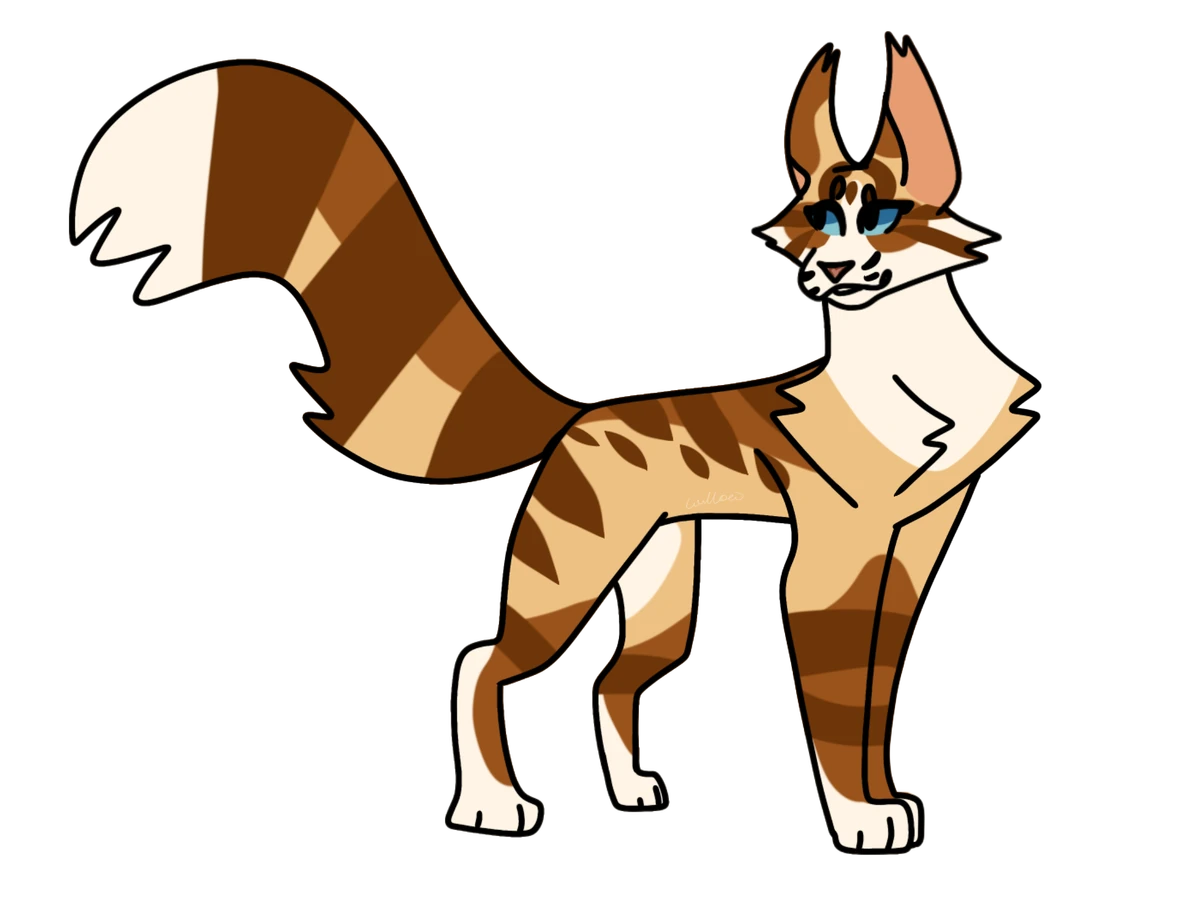 Blazepaw (CC) | Warrior Cats RPG Wiki | Fandom