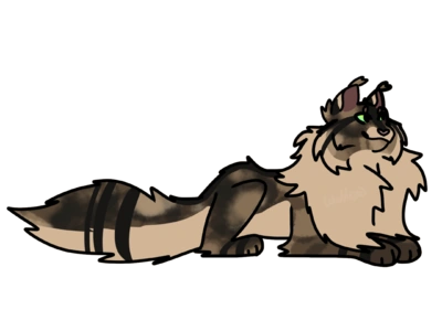 Wrenkit | Warrior Cats RPG Wiki | Fandom