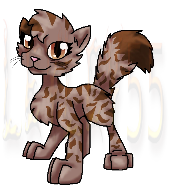 Archiv:Tannenzapfen | Warrior-Cats RPG Wiki | Fandom