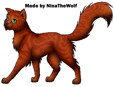 Sonnenglanz | Warrior-Cats RPG Wiki | Fandom