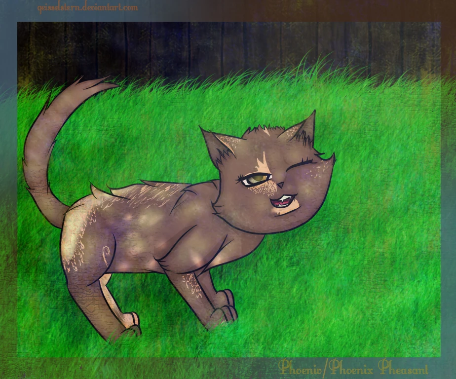 Archiv:Kräuterpfote | Warrior-Cats RPG Wiki | Fandom