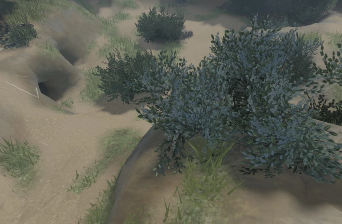 WindClan camp | Warrior Cats: Ultimate Edition (WCUE) Wiki | Fandom