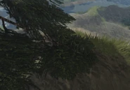 Seasons | Warrior Cats: Ultimate Edition (WCUE) Wiki | Fandom