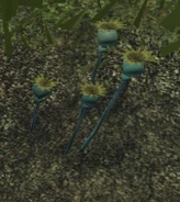 Herbs | Warrior Cats: Ultimate Edition (WCUE) Wiki | Fandom