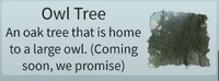 Owl Tree | Warrior Cats: Ultimate Edition (WCUE) Wiki | Fandom
