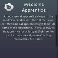 Roles | Warrior Cats: Ultimate Edition (WCUE) Wiki | Fandom