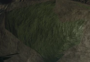 Herbs | Warrior Cats: Ultimate Edition (WCUE) Wiki | Fandom