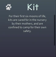 Roles | Warrior Cats: Ultimate Edition (WCUE) Wiki | Fandom