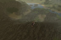 Sunningrocks | Warrior Cats: Ultimate Edition (WCUE) Wiki | Fandom