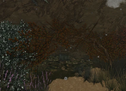 ShadowClan Camp | Warrior Cats: Ultimate Edition (WCUE) Wiki | Fandom