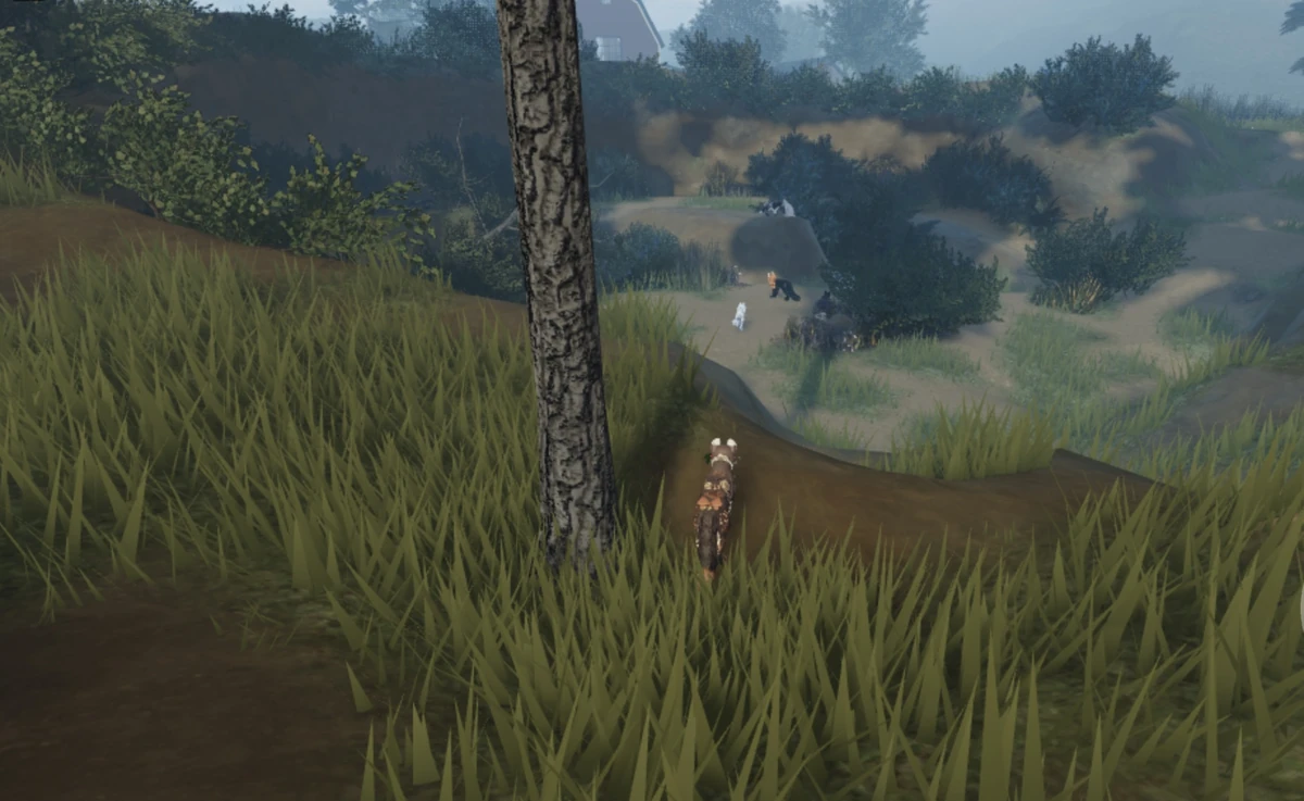 WindClan camp | Warrior Cats: Ultimate Edition (WCUE) Wiki | Fandom