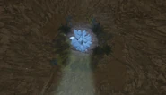 Moonstone | Warrior Cats: Ultimate Edition (WCUE) Wiki | Fandom