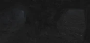 Moonstone | Warrior Cats: Ultimate Edition (WCUE) Wiki | Fandom