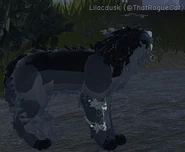 Animations | Warrior Cats: Ultimate Edition (WCUE) Wiki | Fandom