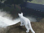 The Gorge | Warrior Cats: Ultimate Edition (WCUE) Wiki | Fandom