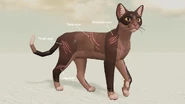 Scars | Warrior Cats: Ultimate Edition (WCUE) Wiki | Fandom