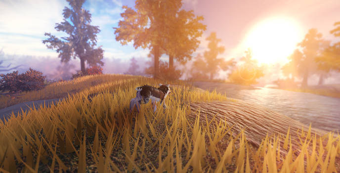 Roleplaying Guide | Warrior Cats: Ultimate Edition (WCUE) Wiki | Fandom