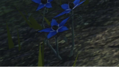 Discuss Everything About Warrior Cats: Ultimate Edition (WCUE) Wiki ...