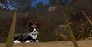 Seasons | Warrior Cats: Ultimate Edition (WCUE) Wiki | Fandom