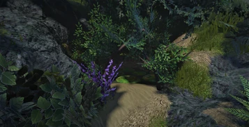 WindClan Camp | Warrior Cats: Ultimate Edition (WCUE) Wiki | Fandom