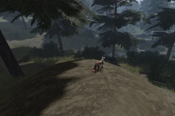 ShadowClan Territory | Warrior Cats: Ultimate Edition (WCUE) Wiki | Fandom