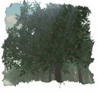 WindClan Territory | Warrior Cats: Ultimate Edition (WCUE) Wiki | Fandom