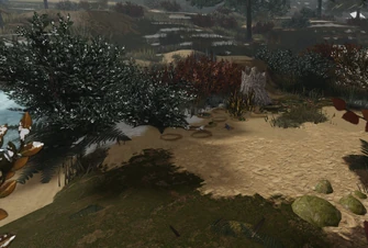 RiverClan Camp | Warrior Cats: Ultimate Edition (WCUE) Wiki | Fandom