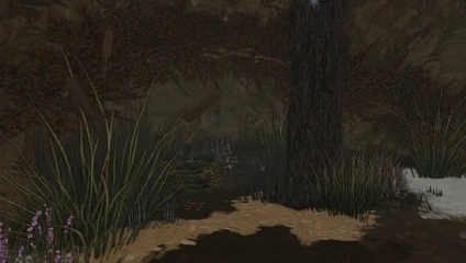 ShadowClan Camp | Warrior Cats: Ultimate Edition (WCUE) Wiki | Fandom