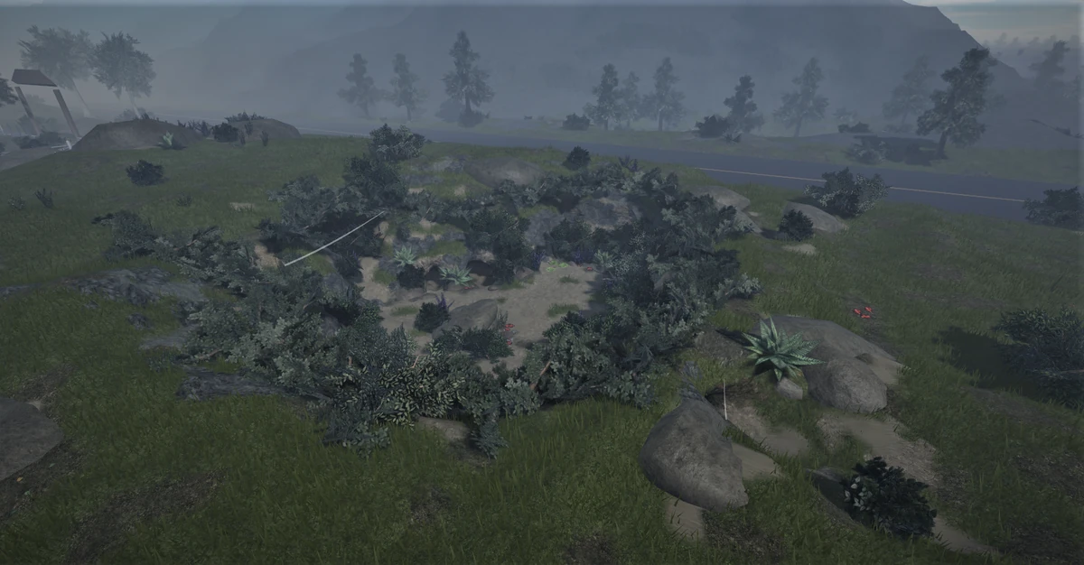 WindClan Camp | Warrior Cats: Ultimate Edition (WCUE) Wiki | Fandom