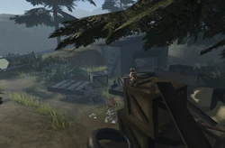 ShadowClan Territory | Warrior Cats: Ultimate Edition (WCUE) Wiki | Fandom