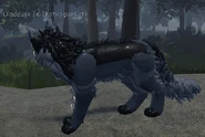 Animations | Warrior Cats: Ultimate Edition (WCUE) Wiki | Fandom