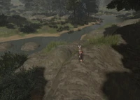 Sunningrocks | Warrior Cats: Ultimate Edition (WCUE) Wiki | Fandom