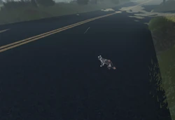 ShadowClan Territory | Warrior Cats: Ultimate Edition (WCUE) Wiki | Fandom