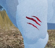 Wounds | Warrior Cats: Ultimate Edition (WCUE) Wiki | Fandom