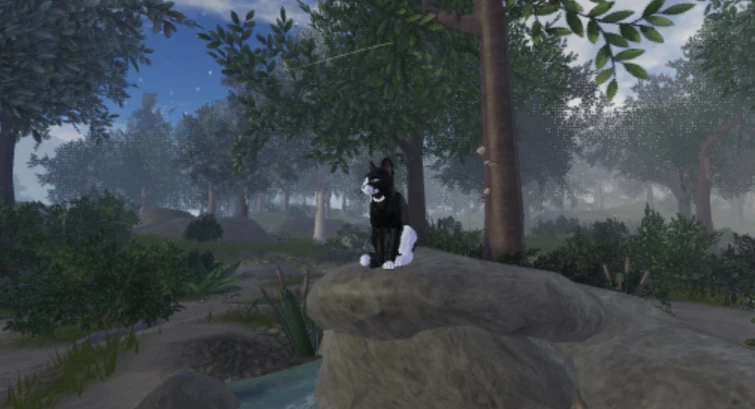 Leader's Guide | Warrior Cats: Ultimate Edition (WCUE) Wiki | Fandom